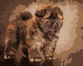 zuty zuty - malování podle čísel - štěnátko chow chow, 40x50 cm, plátno+rám