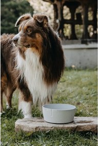 PINO PETS Miska pro psy PINO | jednobarevné provedení Seal Grey | objem 50 / 200 cl | různé velikosti Velikost: L