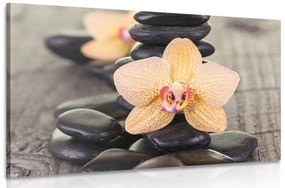 Obraz žlutá orchidej a Zen kameny Varianta: 120x80