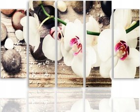 Foto 5dílný obraz na plátně Orchidej 250x120