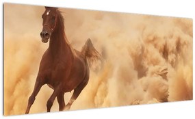 Cválající kůň - obraz (100x40cm)
