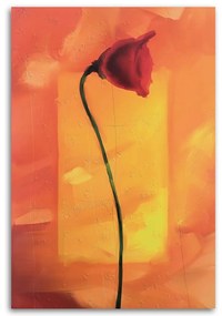 Gario Obraz na plátně Osamělý květ máku Rozměry: 40 x 60 cm