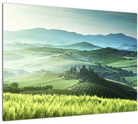 Obraz - Toskánsko, Itálie (70x50 cm)