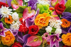 DIMEX | Vliesová fototapeta Pestré květiny MS-5-1374 | 375 x 250 cm| červená, bílá, fialová, oranžová