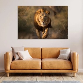 Obraz na plátně - Lev v divoké přírodě FeelHappy.cz Velikost obrazu: 180 x 120 cm
