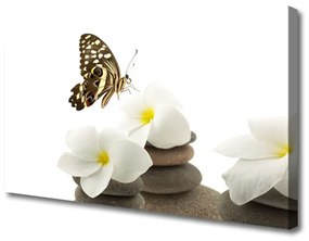 Obraz na plátně Motýl Květ Kameny Rostlina 125x50 cm
