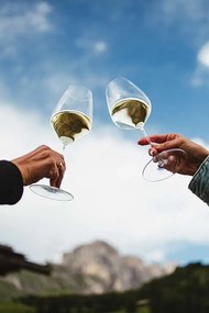 Riedel Veloce Riesling sklenice na víno 570 ml 2 ks