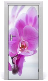 Fototapeta na dveře Růžová orchidej 75x205 cm