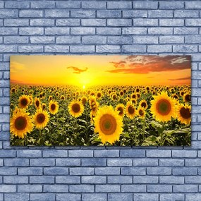 akrylový obraz Slunečnice 120x60 cm