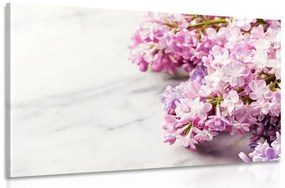 Obraz nádherné květiny na mramorovém podkladu - 90x60 cm