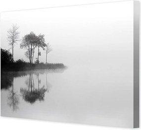 Obraz na plátně By the Lake I