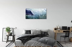 Obraz na skle Umbrella dešťové kapky 125x50 cm