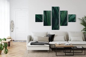Vícedílný obraz Tmavě Zelené Listy Na Makro Stupnici Nedostatek Nedostatek Přírodní plátno 150x90