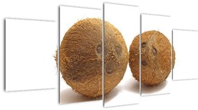 Kokosový ořech, obraz