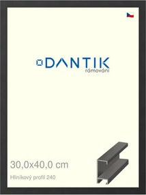 DANTIK rámeček 30x40 | ALU profil 6240 Černá matná (Plexi Čiré)
