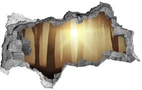 Wallmuralia Nálepka fototapeta 3D výhled Mlha v lese 95x73 cm