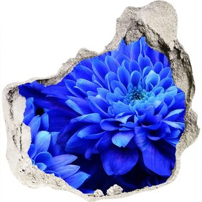 Wallmuralia Samolepící díra nálepka Modrá astera 75x75 cm