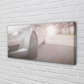 Obrazy na plátně Stříbrné auto street tree 125x50 cm