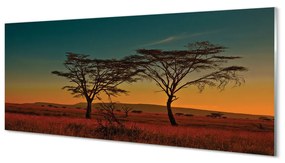 akrylový obraz oblohy stromu 120x60 cm