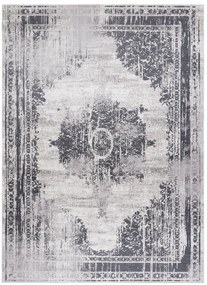 Dywany Łuszczów, Kusový koberec ANDRE Ornament 1187, 160x220, šedá, chodba / předsíň