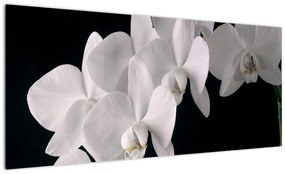 Obraz - bílé orchideje (100x40cm)