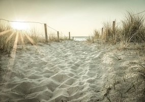 Postershop Fototapeta vliesová: Písečná pláž (3) - 104x70,5 cm