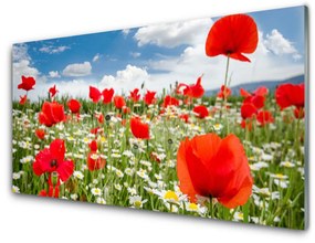 Plexisklo-obraz Louka Květiny Příroda 100x50 cm