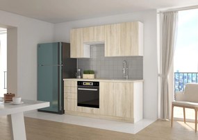 Kuchyňská skříňka Sally 80-ZL-2F-BB dub sonoma