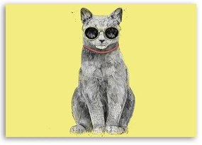 Gario Obraz na plátně Kočka s brýlemi - Rykker Rozměry: 60 x 40 cm