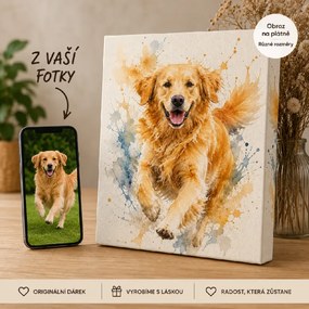 Foto obraz z vlastní fotky na plátno – Moderní akvarelový portrét mazlíčka z fotky Rozměry obrazu: 60 x 80 cm