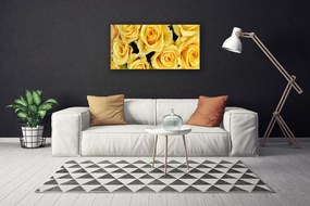 Obraz na plátně Růže Květiny Rostlina 120x60 cm