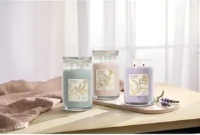 Yankee Candle Lavender Bliss Signature Velký