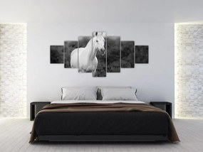 Obraz bílého koně na louce, černobílá (210x100 cm)
