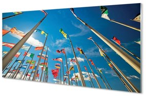 Obraz na skle různé vlajky 100x50 cm