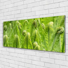 akrylový obraz Rostlina Příroda 125x50 cm