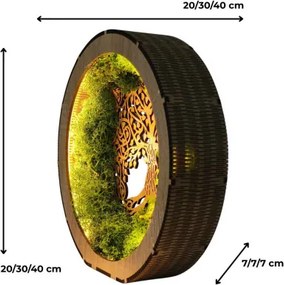Dřevěná LED lampa Strom života s mechem - noční lampa I SENTOP LED0633