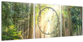 Obraz pěšiny v lese (s hodinami) (90x30 cm)