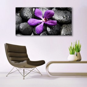 akrylový obraz Květ Kameny Umění 120x60 cm