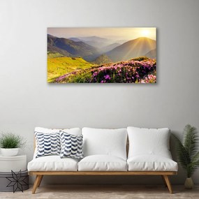 Obraz na plátně Hora Louka Krajina 140x70 cm