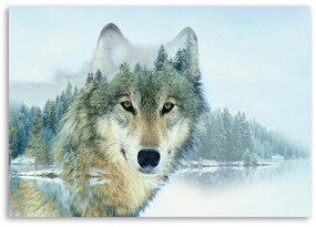 Gario Obraz na plátně Vlk na pozadí hory Rozměry: 60 x 40 cm