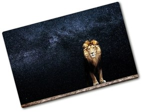 Wallmuralia Kuchyňská deska skleněná Lev na pozadí hvězd 80x52 cm