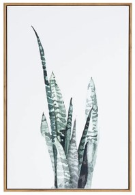 Obraz Somcasa Pita 60 x 40 cm