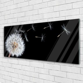akrylový obraz Pampeliška Květiny Příroda 125x50 cm