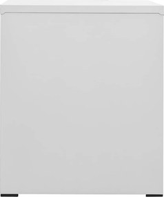 Kancelářská skříň světle šedá 46 x 62 x 72,5 cm ocel 336271