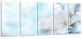5-dílný obraz bílý květ lilie na abstraktním pozadí - 200x100 cm