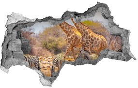 Wallmuralia Díra 3D fototapeta nálepka Žirafy a zebry 95x73 cm