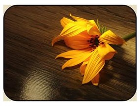 Prostírání na stůl ovalné Lux - Žlutý květ