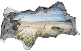 Wallmuralia Díra 3D ve zdi nálepka Mřežino pláž 95x73 cm