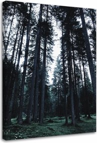 Obraz na plátně, Les v zamračený den 40x60