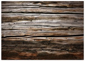 Skleněný obraz - sezónní dřevo (70x50 cm)
